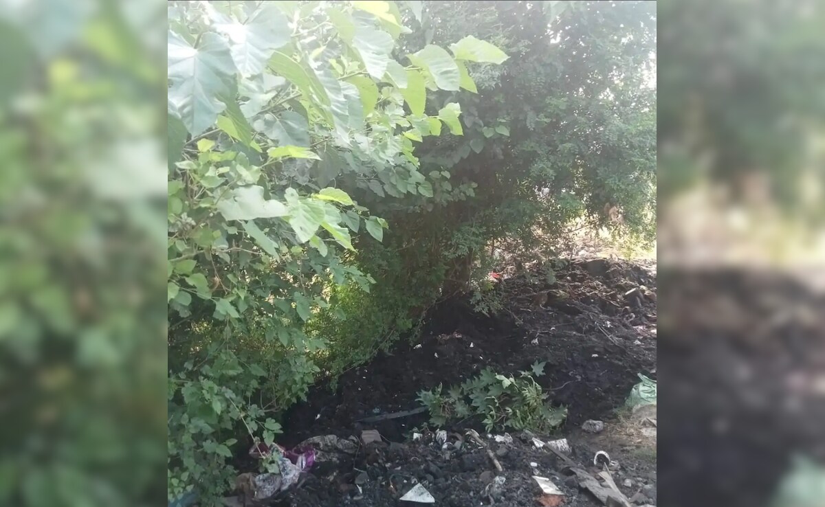 Man Resting Under Tree Dies After Civic Workers Dump Sludge On Him