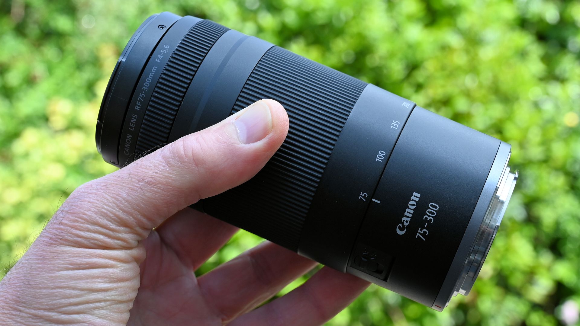 Canon RF 75-300mm f/4-5.6 review: a new mirrorless lens, or a skeleton ...