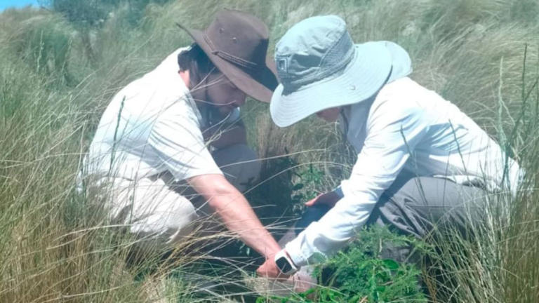 Científicos de UNC-Conicet revelan el impacto humano en la ...