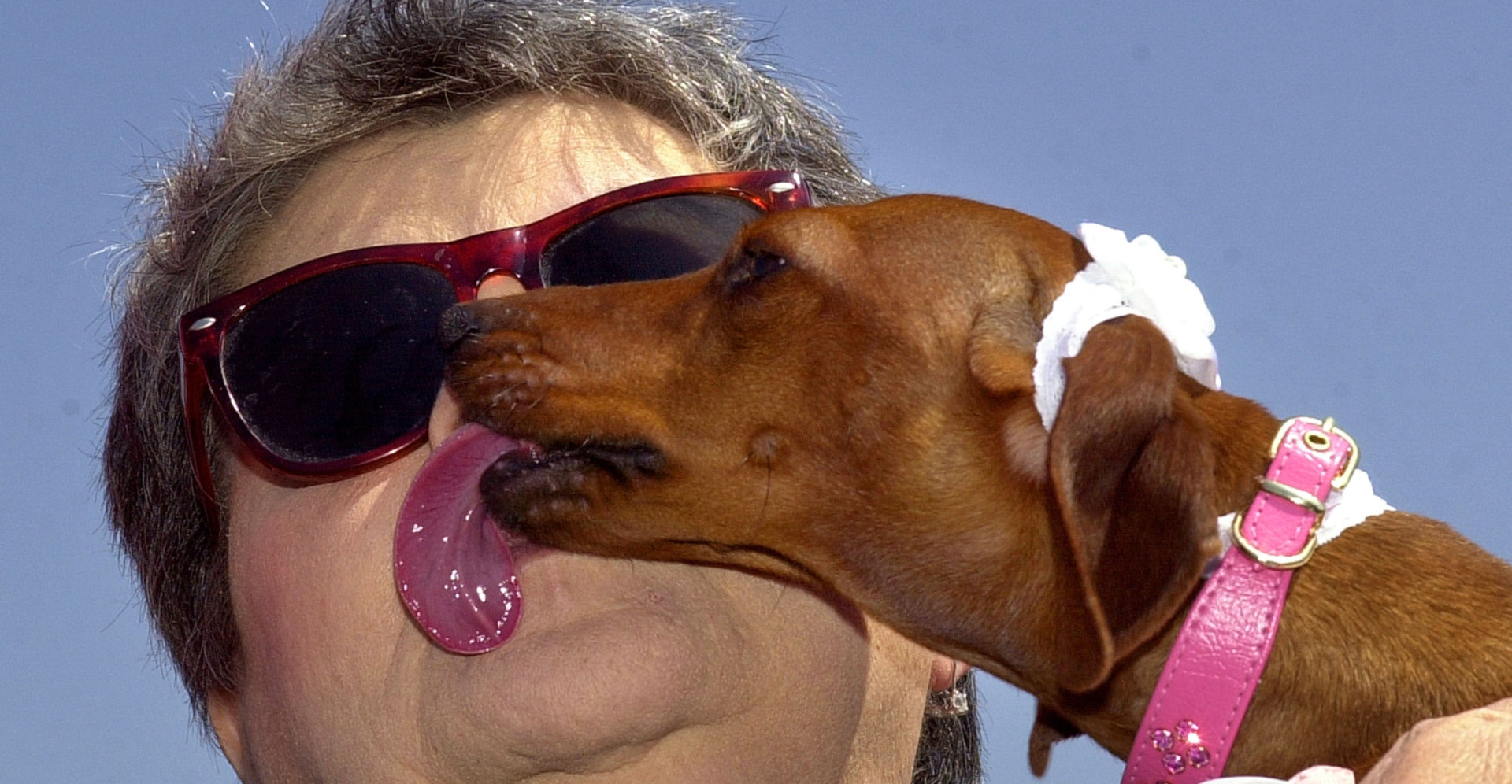 Science says these mammals are the best companions