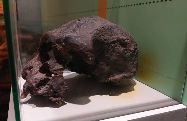 Scientists discover 1,40,000-year-old human bone fossils under the sea