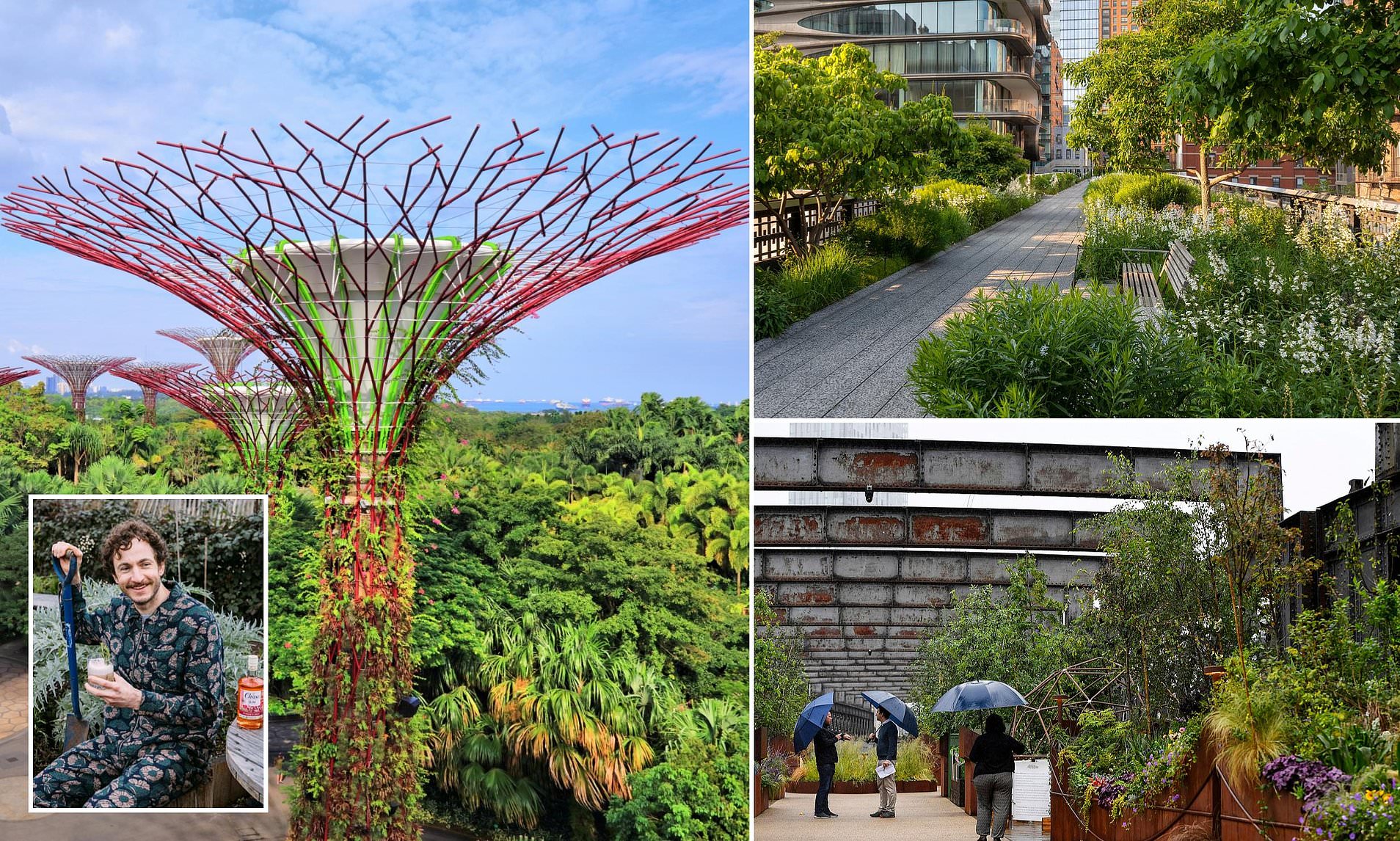 I'm a Chelsea Flower Show winner - these are the world's most beautiful ...