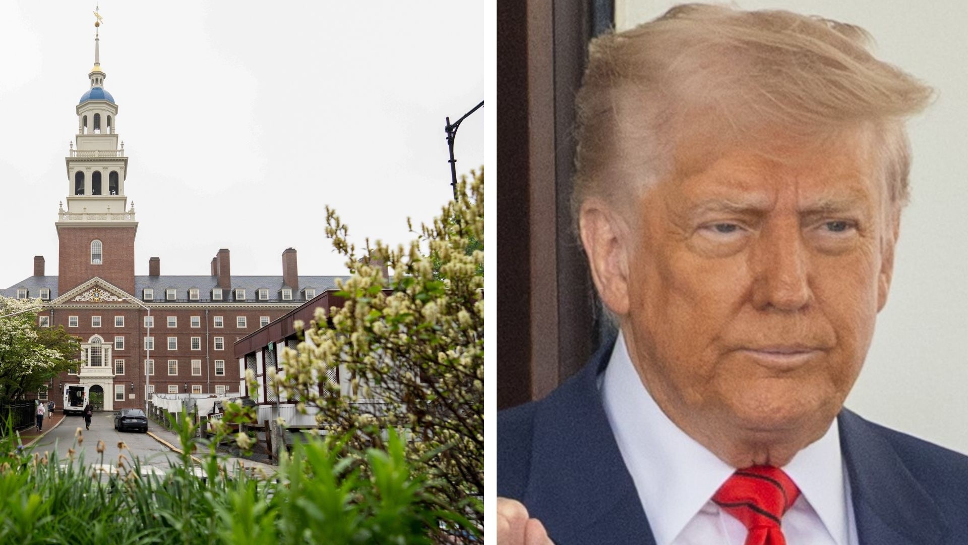 'Prepared to welcome Harvard students': Overseas elite school shares ...