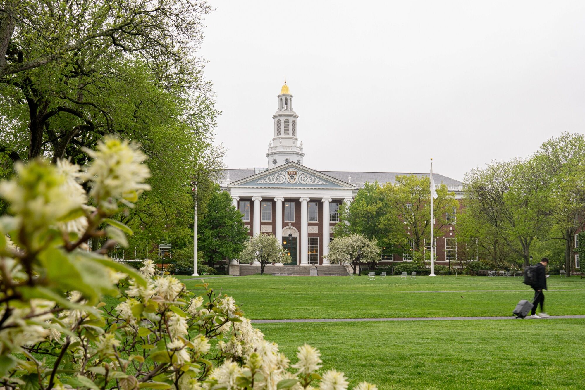 Trump Attack on Harvard Students Reverberates Across World