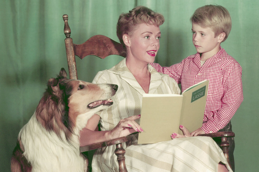 20 famous animal actors