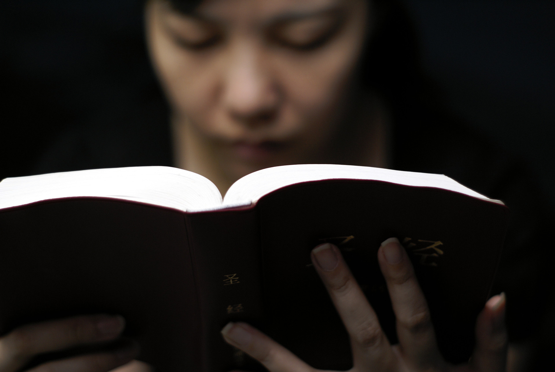 Cose che non sapevi sulla Bibbia