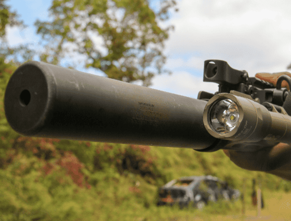 Florida Lawmakers Among Votes In House Passage Of Bill Easing Gun ...