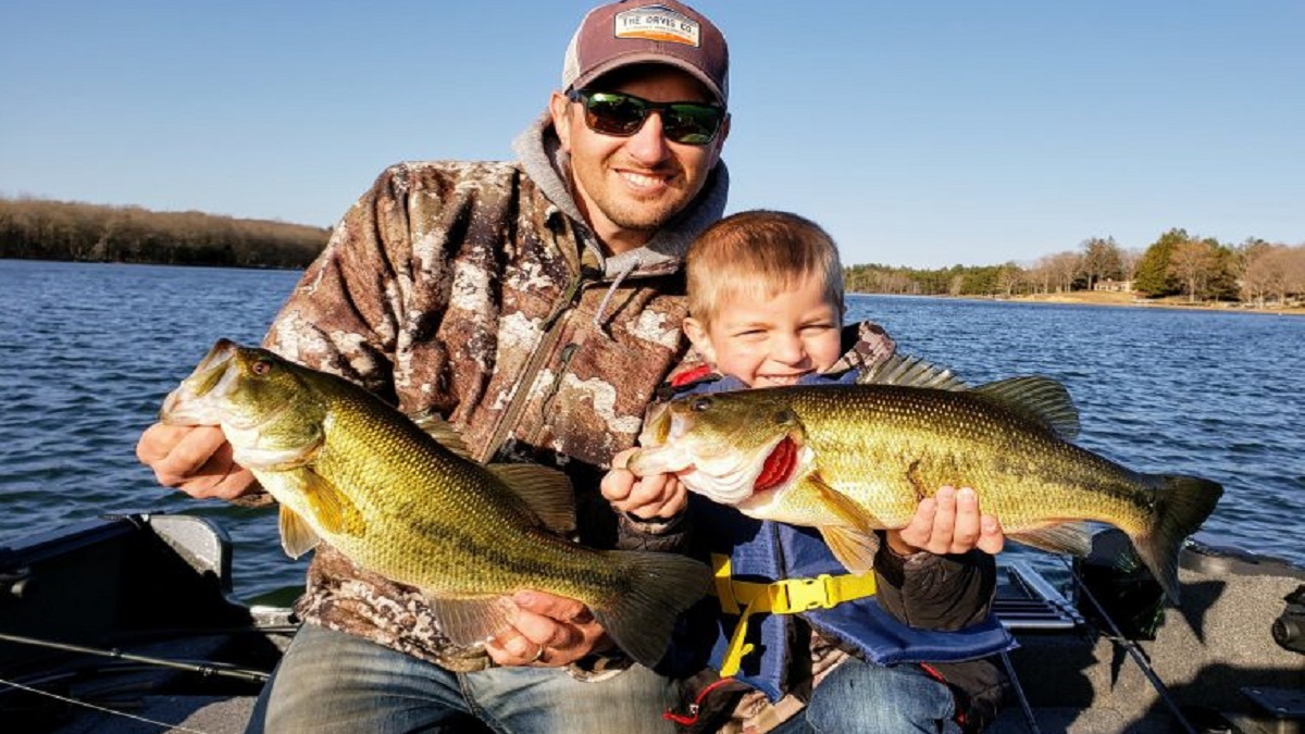 Genetic Study Splits Largemouth Bass