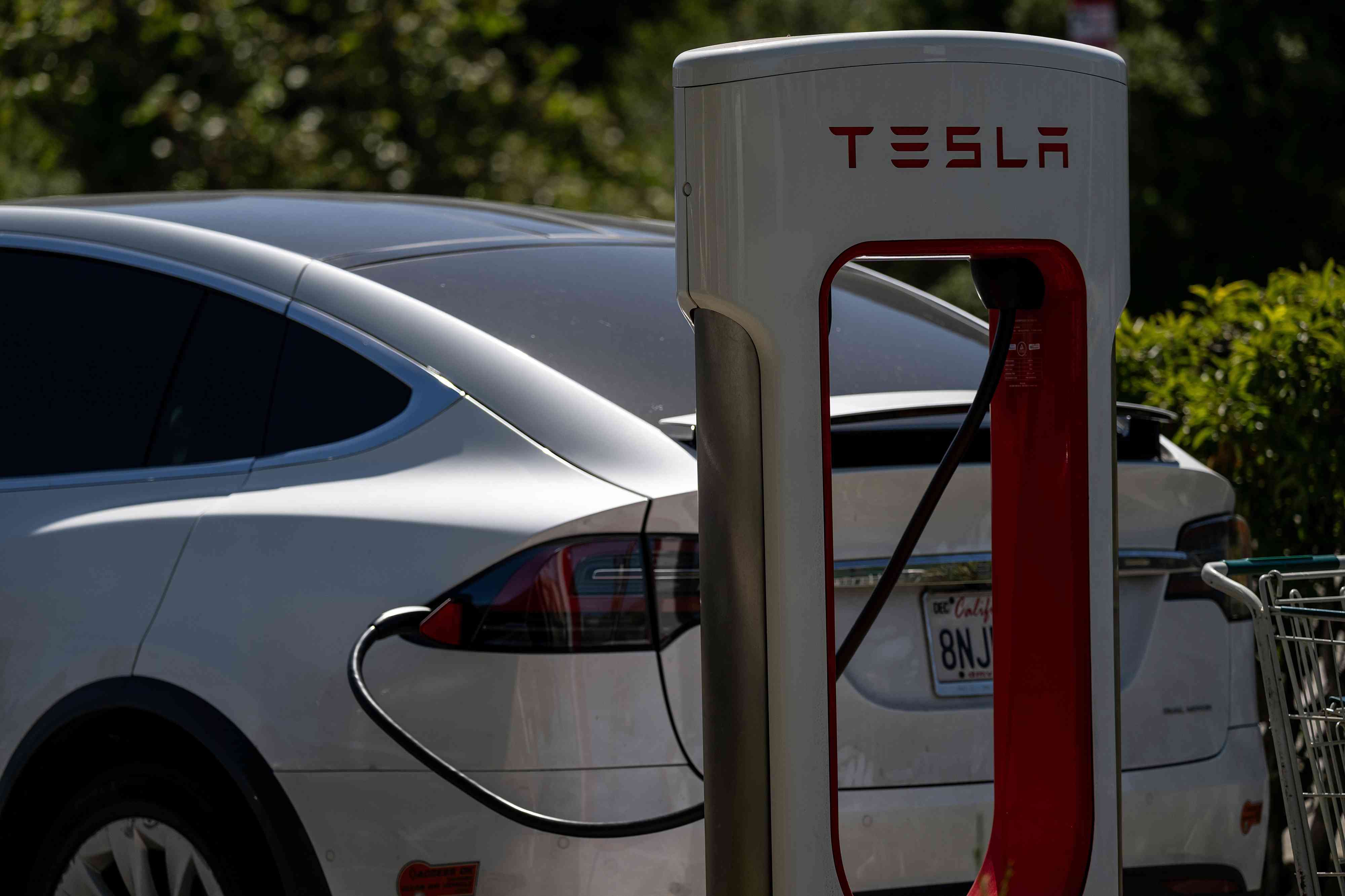 Why Wedbush Is Back Among the Street's Top Tesla Stock Bulls