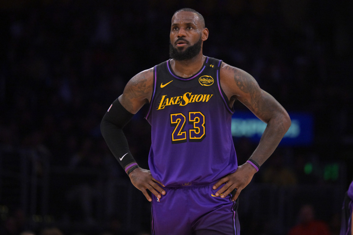 LeBron James Reveals One Normal Thing Bronny James, Bryce James Have ...