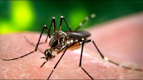 Shield against malaria: Over 20L people in 9 districts in UP get ...
