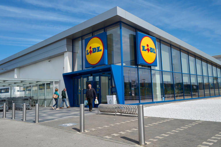 Sommerhitze meistern: Mit diesem Ventilator von Lidl bleibt dein ...