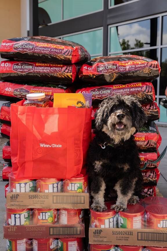 It’s the Puuurfect Weekend to Adopt a Pet!