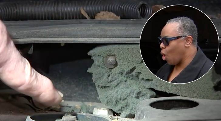 Rodent infestation wreaks havoc on Chicago cars