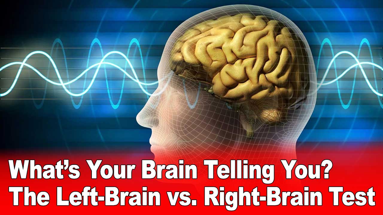 What's Your Brain Telling You? The Left-Brain vs. Right-Brain Test