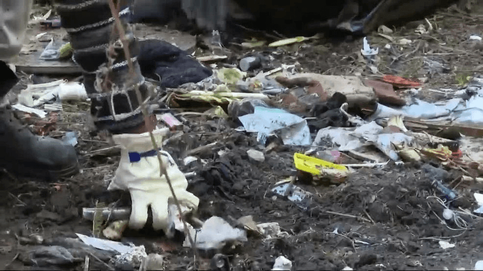 Volunteers gather to clean former homeless campsite known as The Pines ...