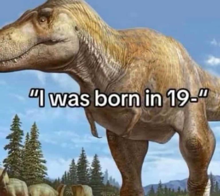 35 Funny Tiktok Screenshots Showcasing The App's True Chaotic Nature ...