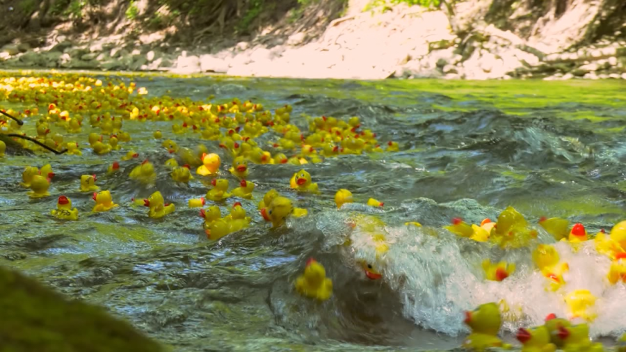 Auburn’s Duck Derby will look different this year