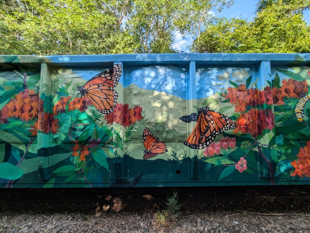 New Monarch Murals Take Over Train Cars At Cape May Preserve