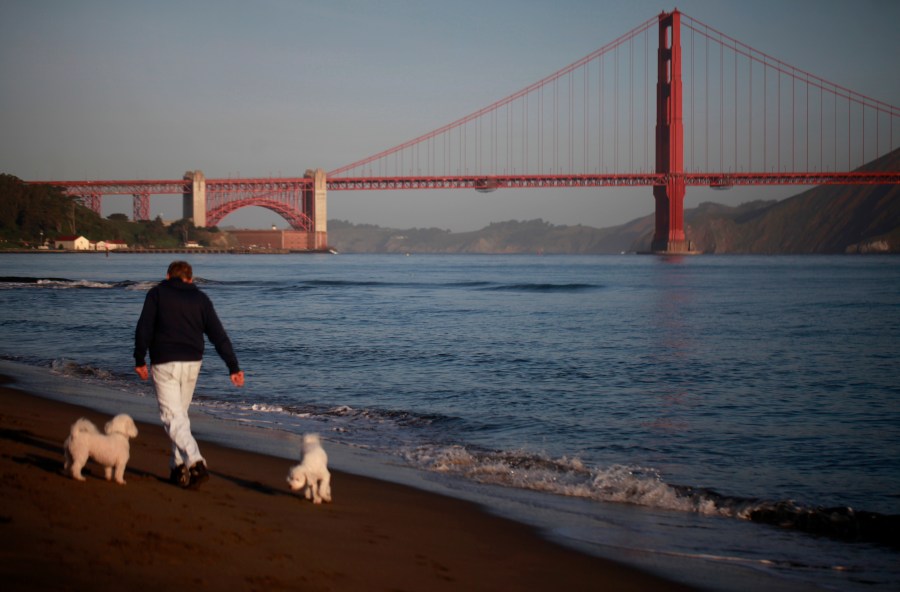 Steady, comfortable weather ahead in Bay Area
