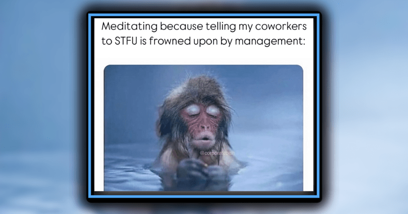 20 Hilariously Relatable Animal Memes for Overwhelmed Office Workers