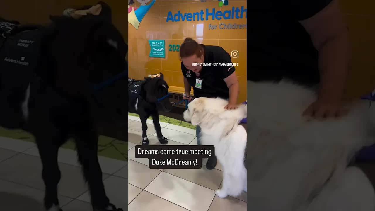 Testing out the latest Cavallo Boots at AdventHealth Orlando!