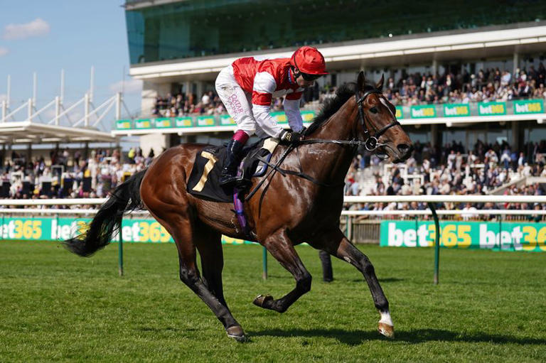 'He has Royal Ascot as his target' – Saturday's racing tips from seven ...
