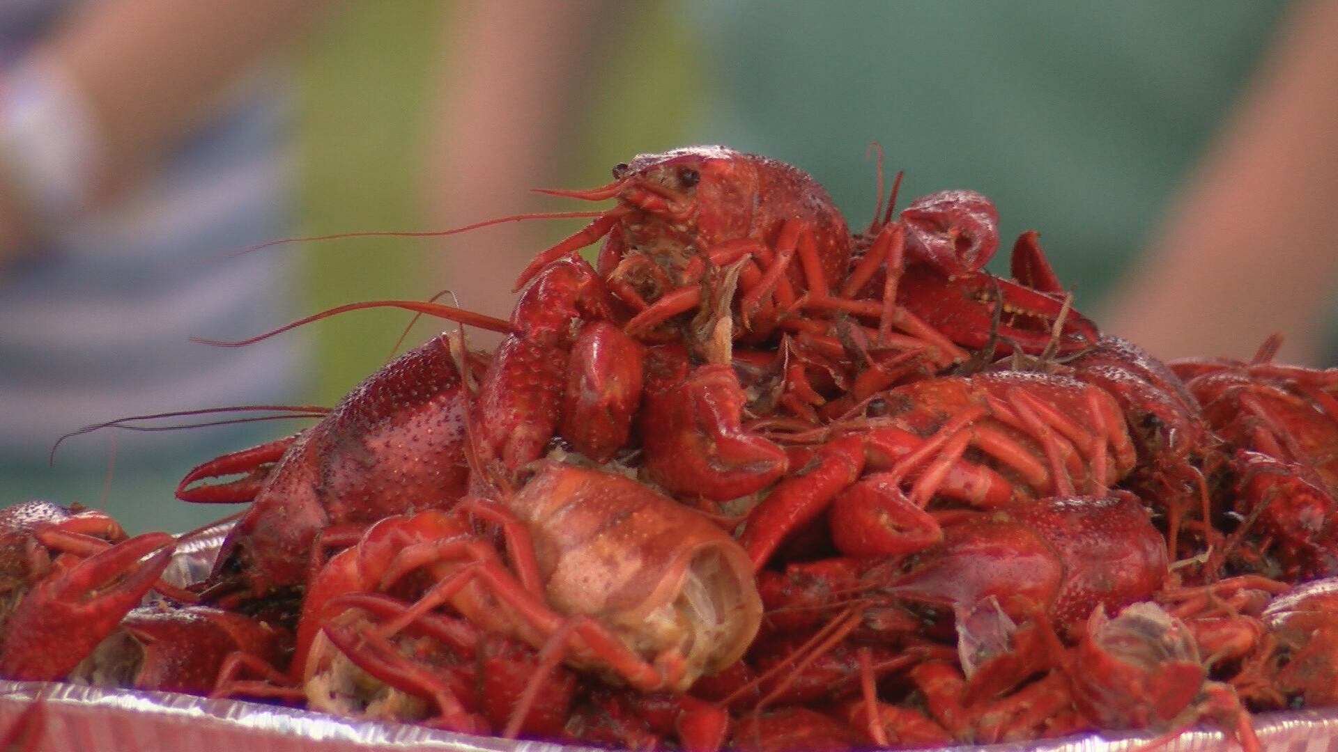 Inaugural Crawfish Bash aims to draw in crawfish lovers across NELA