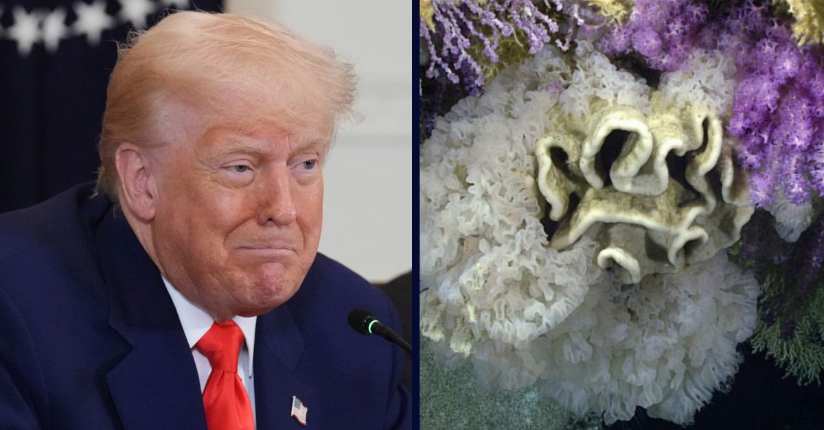 ‘Threatens to destroy’: Trump admin sued over move to ‘unleash ...