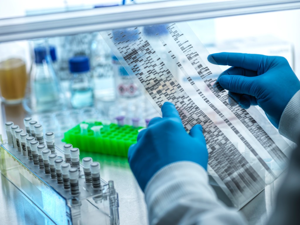 New study reveals how the first people to inhabit America got there