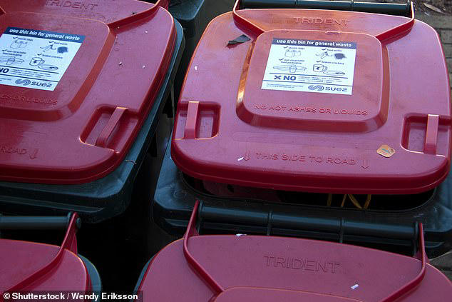 Major change on the way for household bins - what you need to know