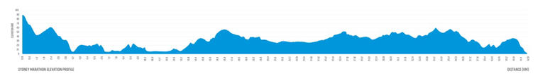Sydney Marathon Course and Training Tips | How to Conquer the Hills