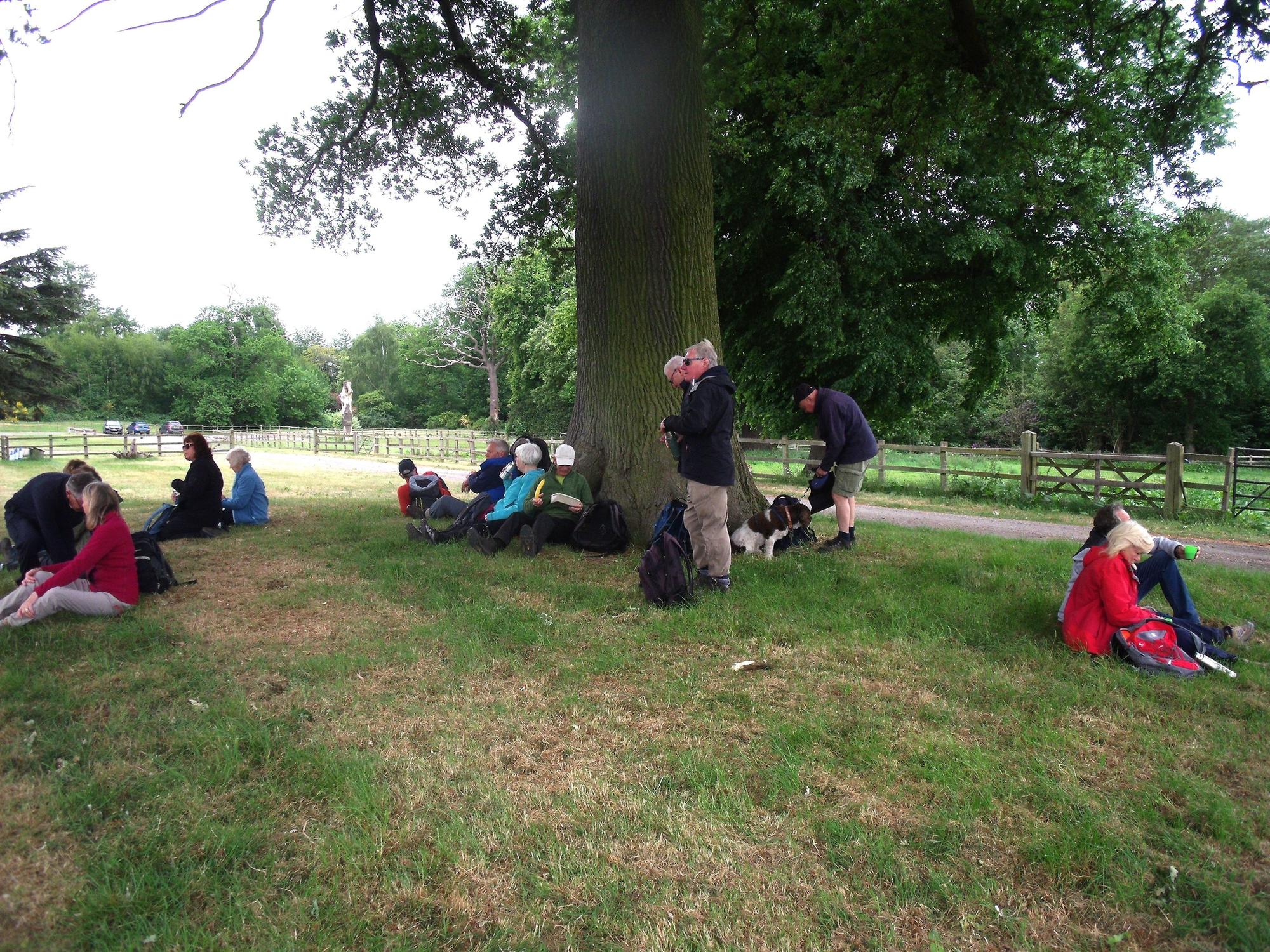 Doncaster Ramblers – Langold & Hodsock Thursday 22nd May 2025