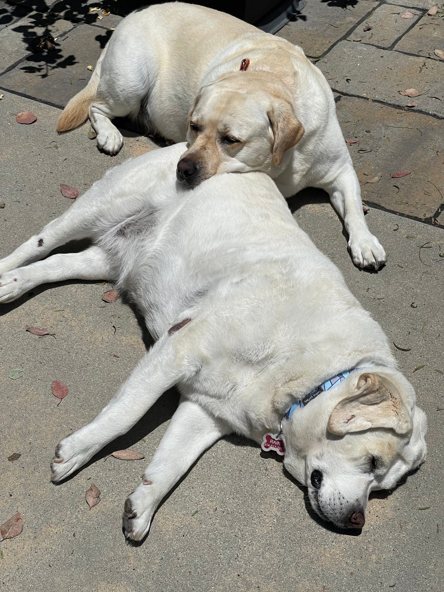 Dave Murray's exclusive summer forecast