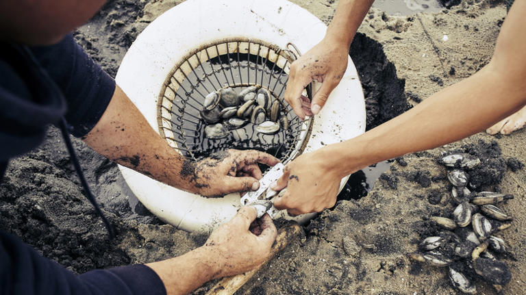 Cape Cod's Unmatched Wildlife Sanctuary Boasts Beaches, Woodlands ...