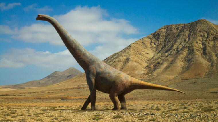 Walking with Dinosaurs 2025 episode guide