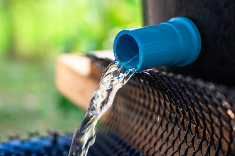 E. coli discovered in raw water sample from San Antonio well