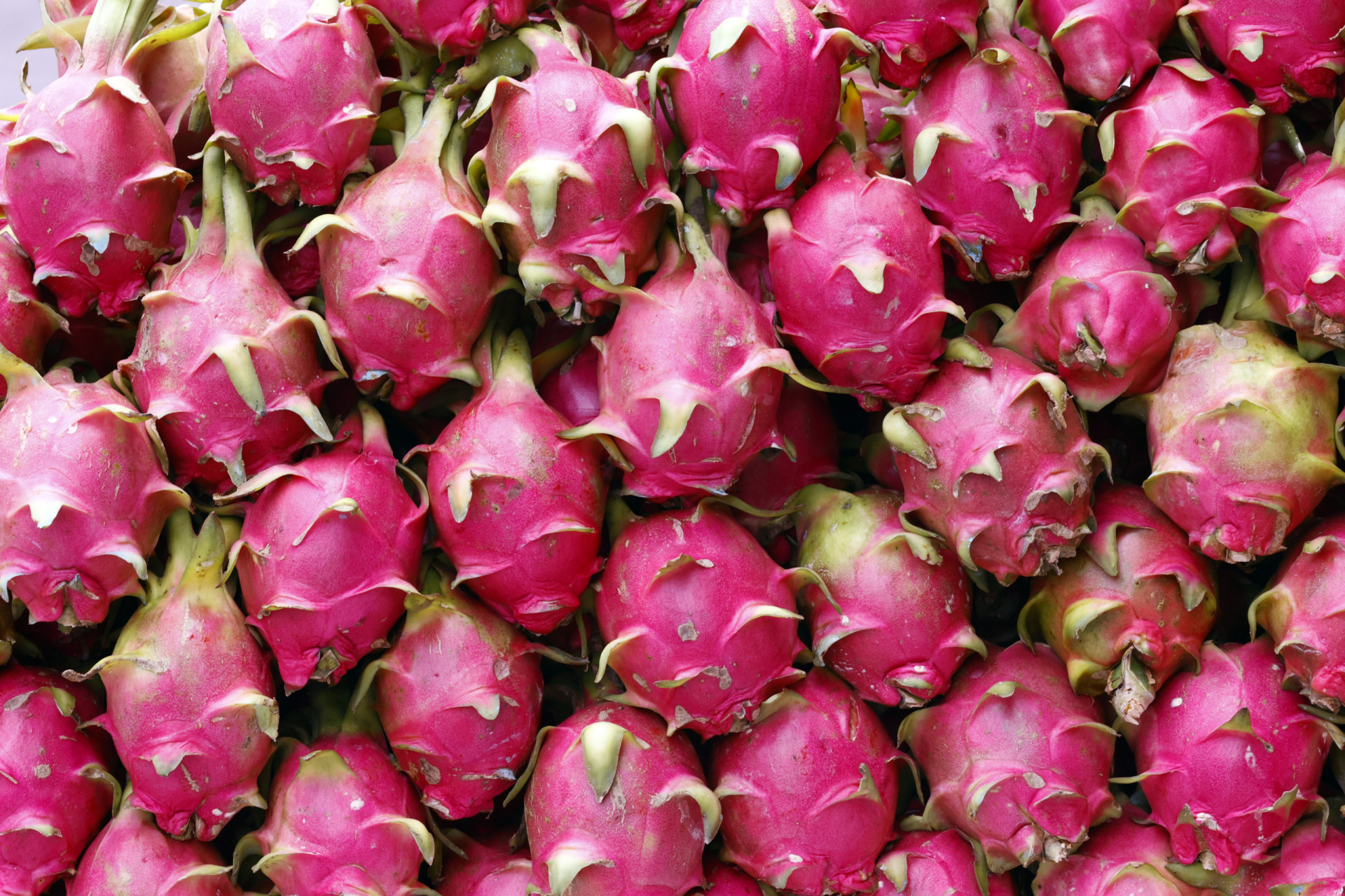 The world's most colorful and flavorful exotic fruits