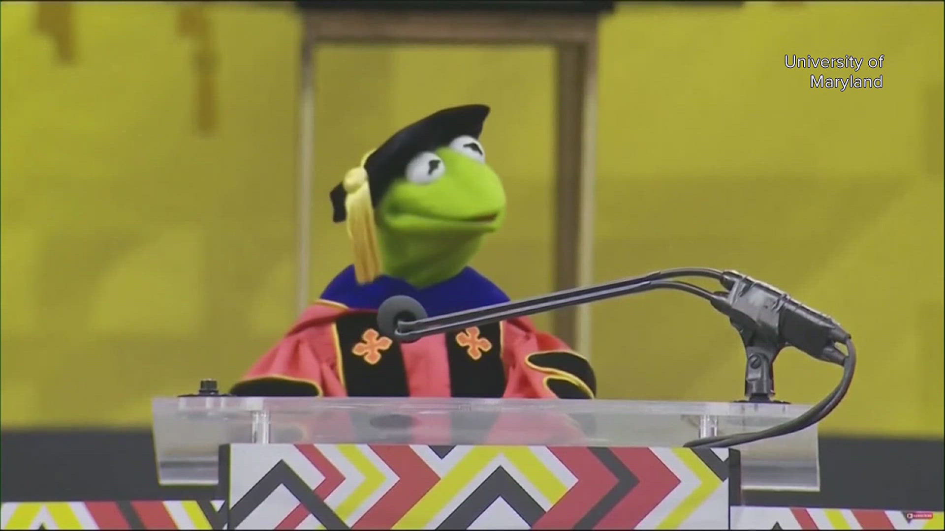 Kermit the Frog delivers commencement speech at the University of Maryland