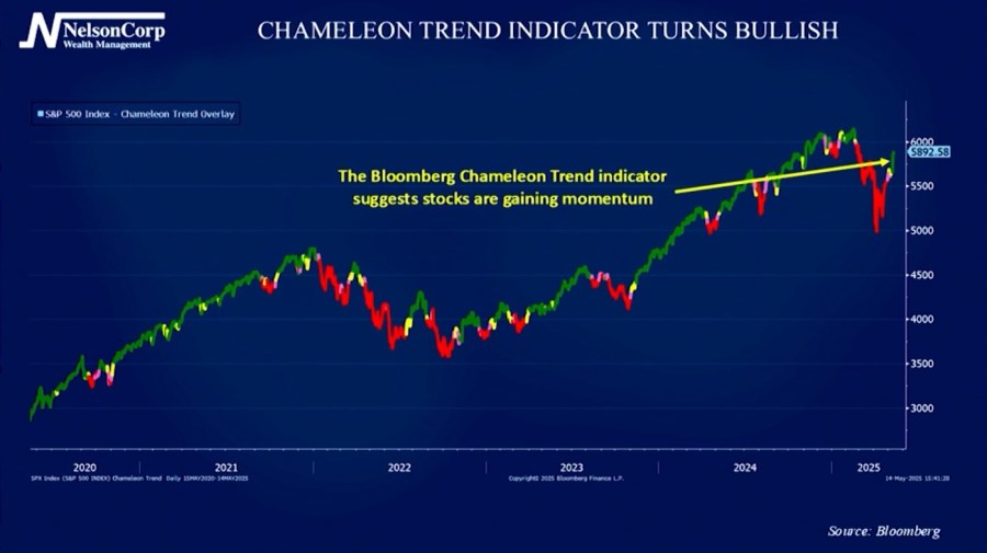 4 Your Money | Chameleon Trend
