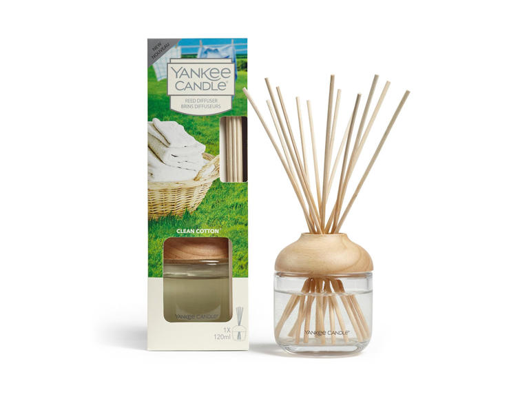 13 best diffusers for a long-lasting, fresh home fragrance