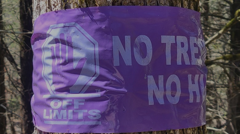What It Means When You See These Different Colors Painted On Trees