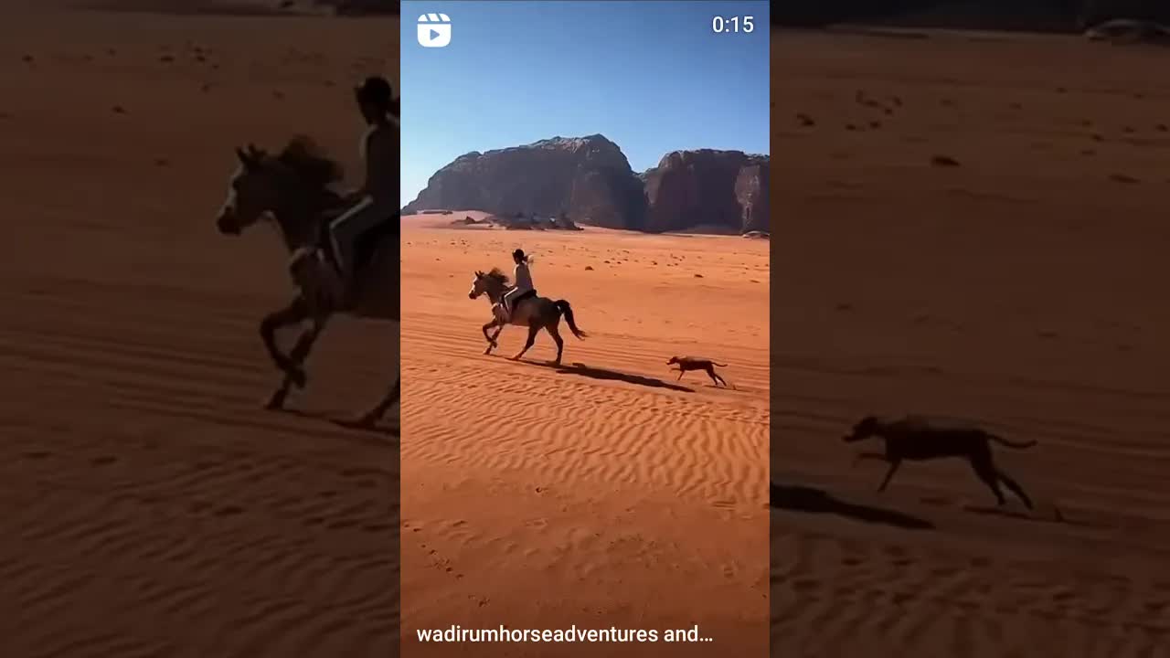 An unforgettable moment, with Barq running in Al Rahib’s shadow amid ...