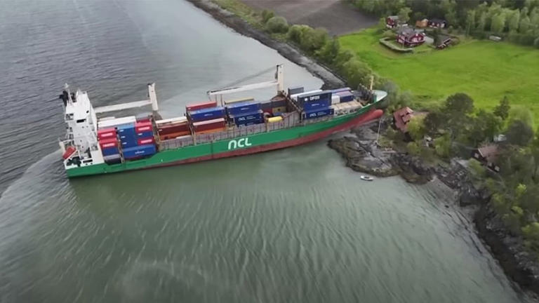 Massive container ship crashes into man’s yard after officer falls ...