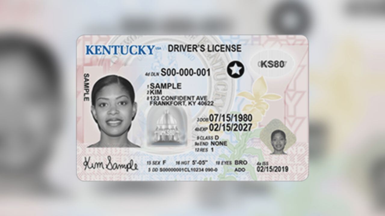 Beshear suspends fees for duplicate licenses, vehicle documents in ...