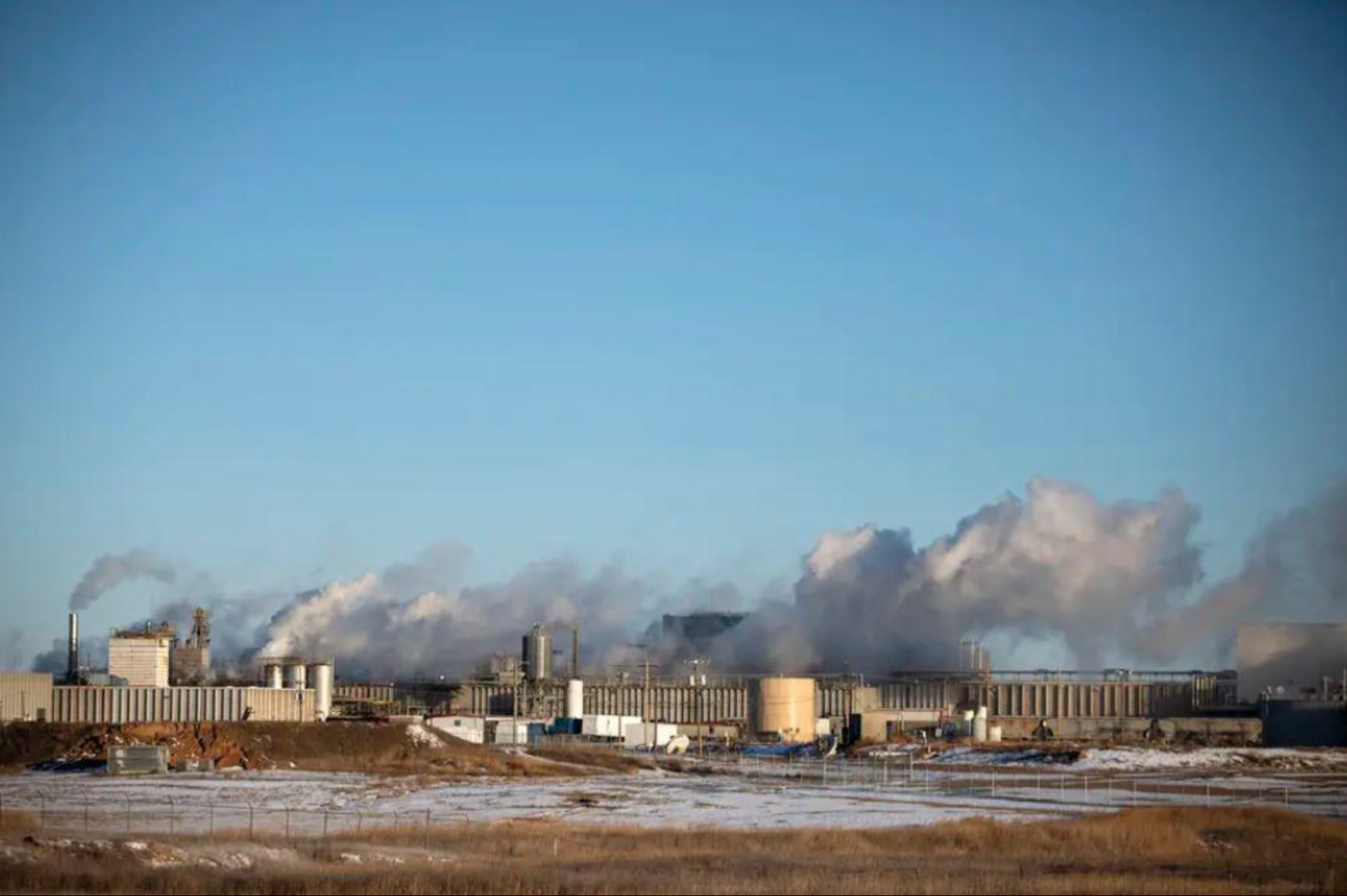 New Jbs Union Deal Boosts Wages Adds Pension For Cactus Workers