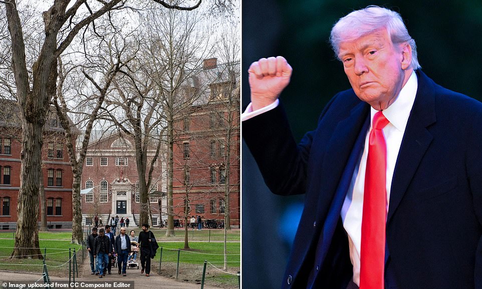 How Australia will approach Trump's Harvard ban