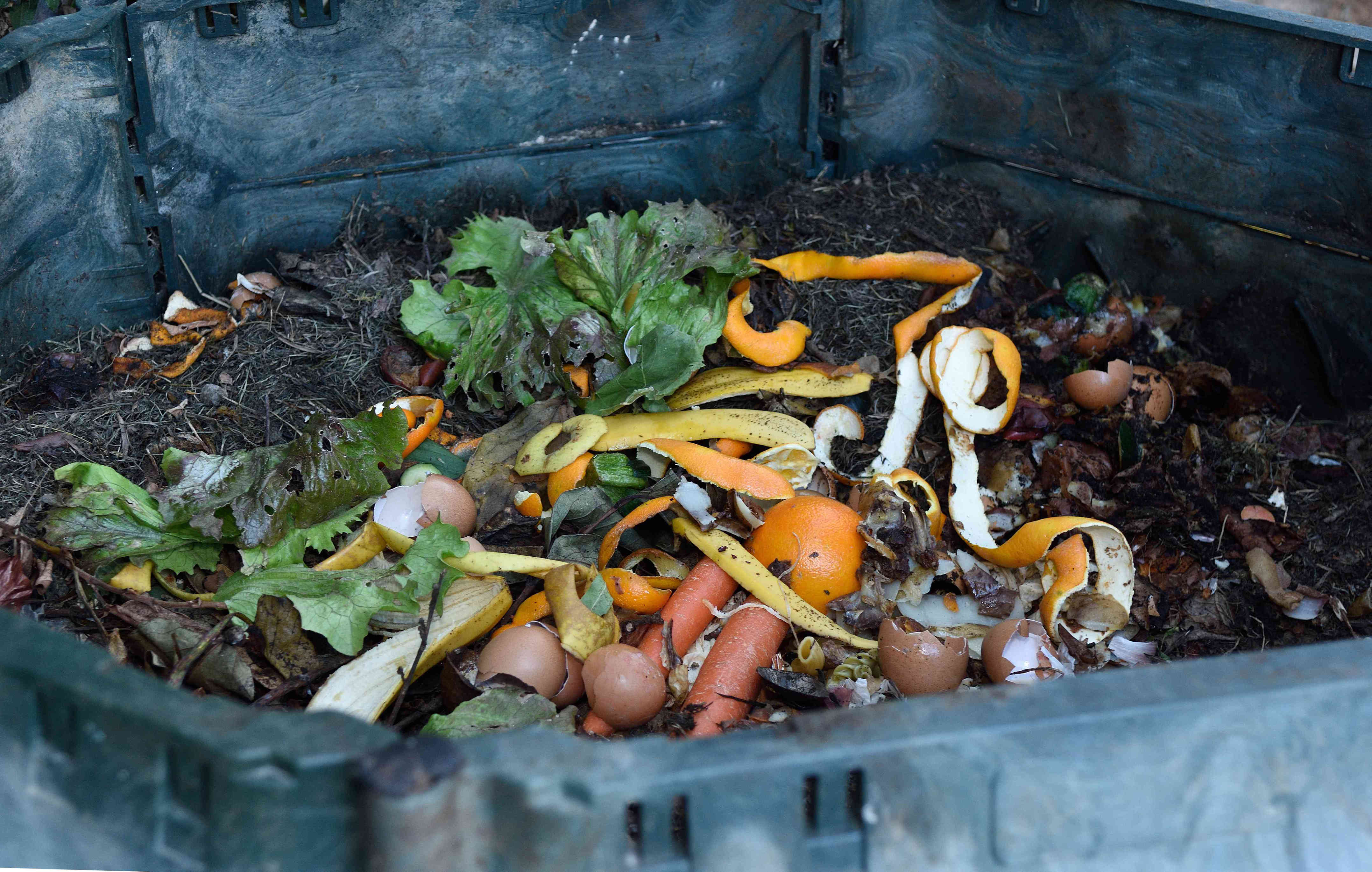 Fix Your Smelly Compost Pile Fast with These 7 Must-Know Tips