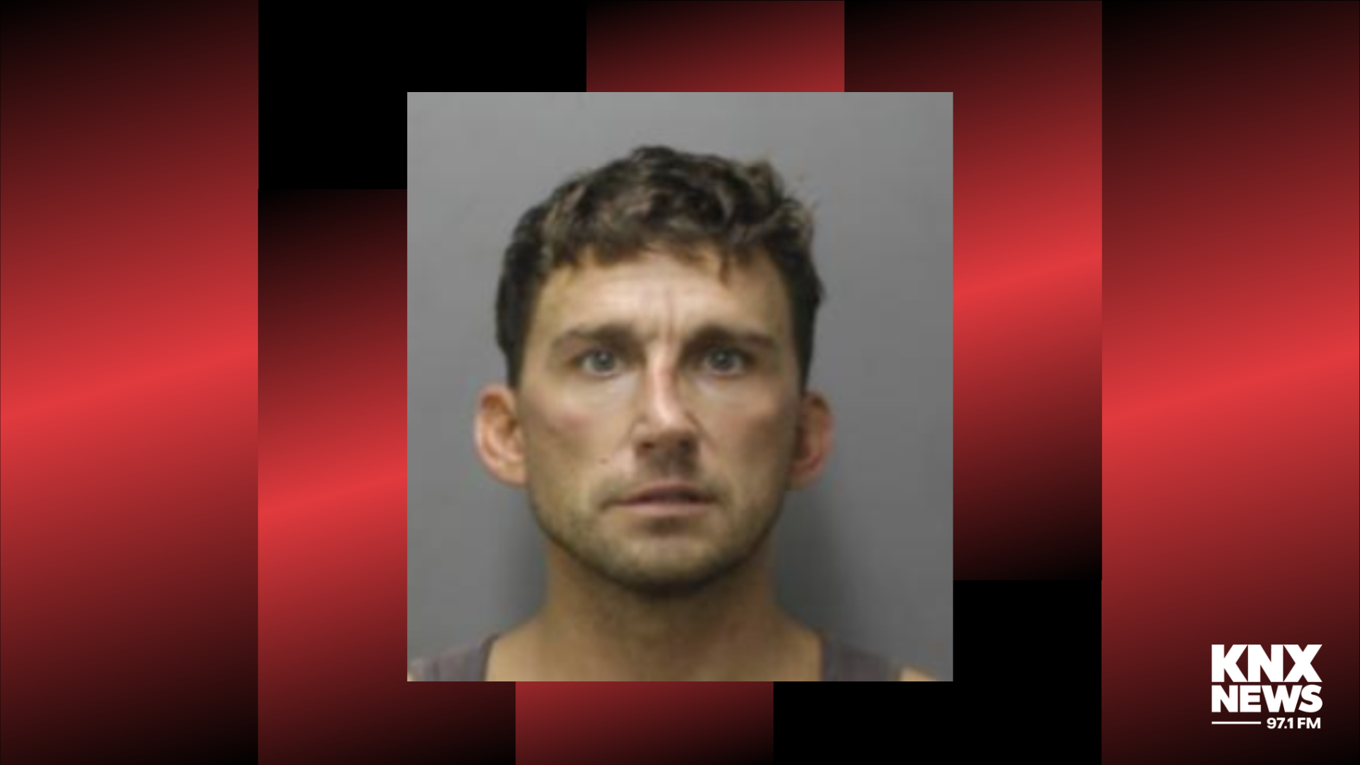 'It is sickening': L.A. Tesla road-rager reoffends in Hawaii, prior ...