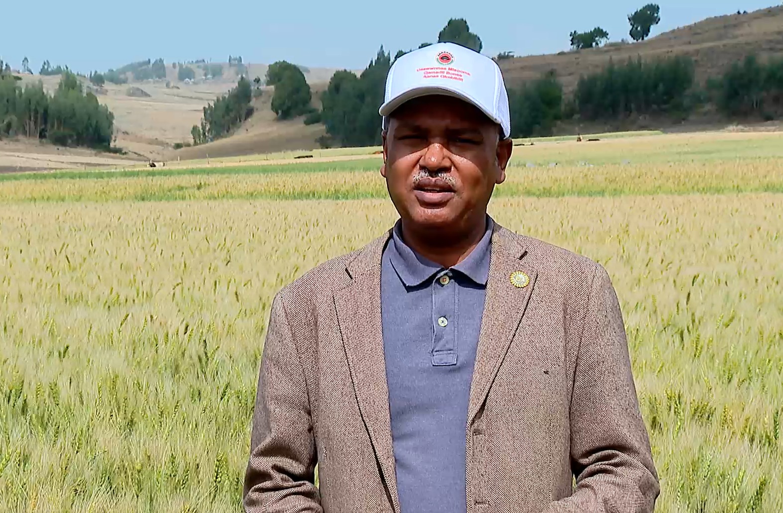 Ethiopia's Effort to Enhance Agricultural productivity Delivers ...